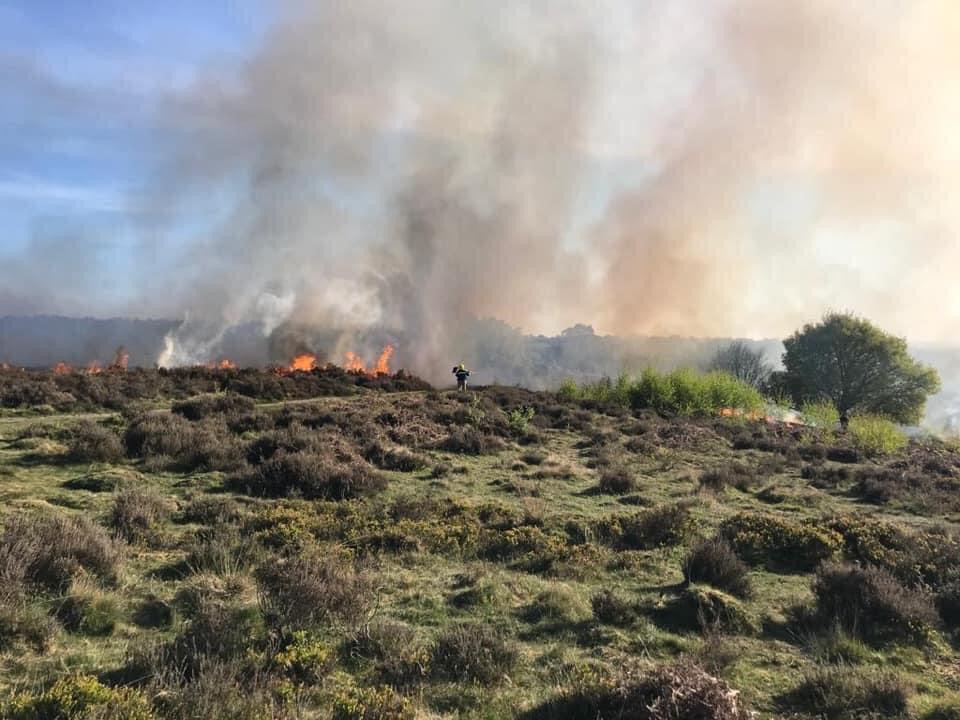 Two major grass fires tackled by over 150 firefighters in one day ...