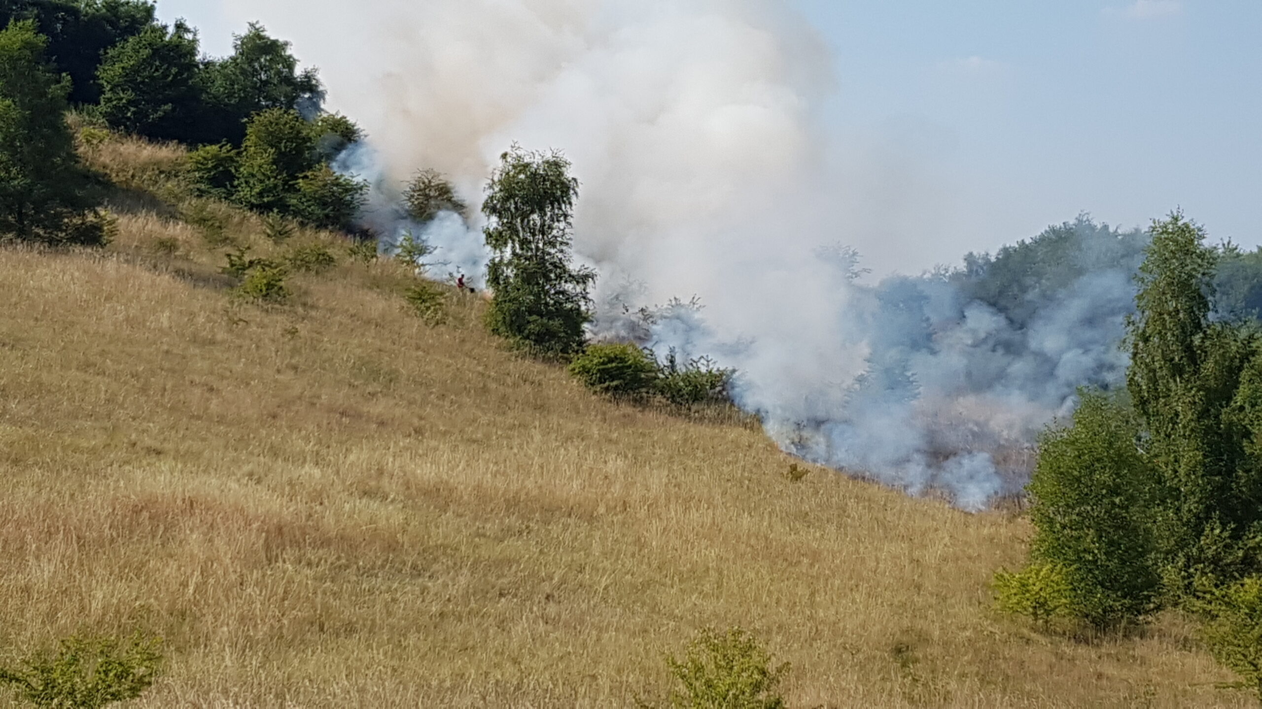 Fire crews issue advice after tackling deliberate woodland fires in ...